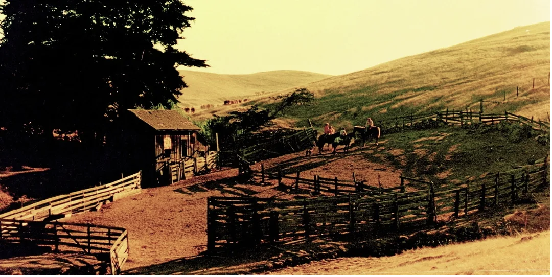 About — Twisselman Ranch