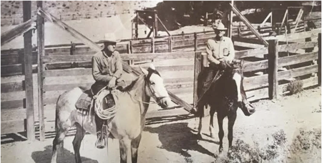 About — Twisselman Ranch