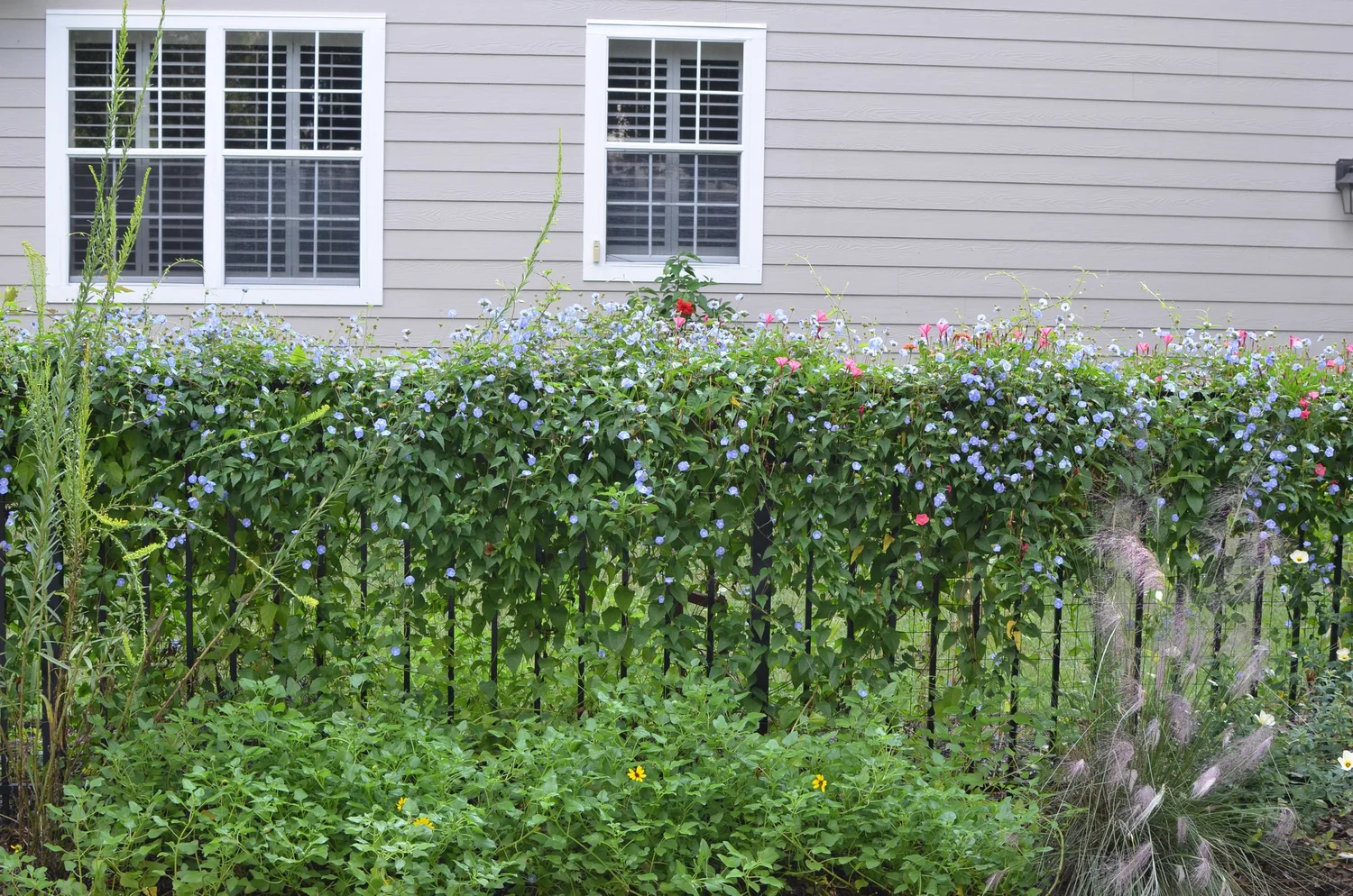 Sarasota Pollinator Garden — Florida Native Plants Nursery & Landscaping