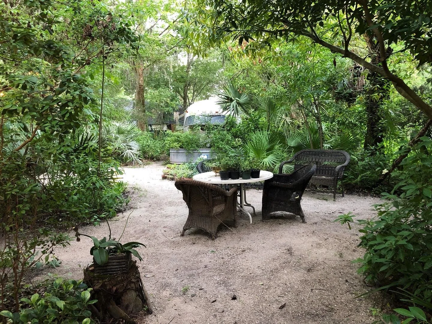 About — Florida Native Plants Nursery & Landscaping