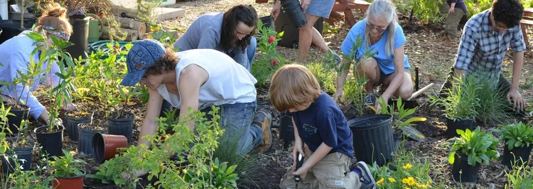 Ten Principles for Sustainable Native Landscaping — Florida Native ...