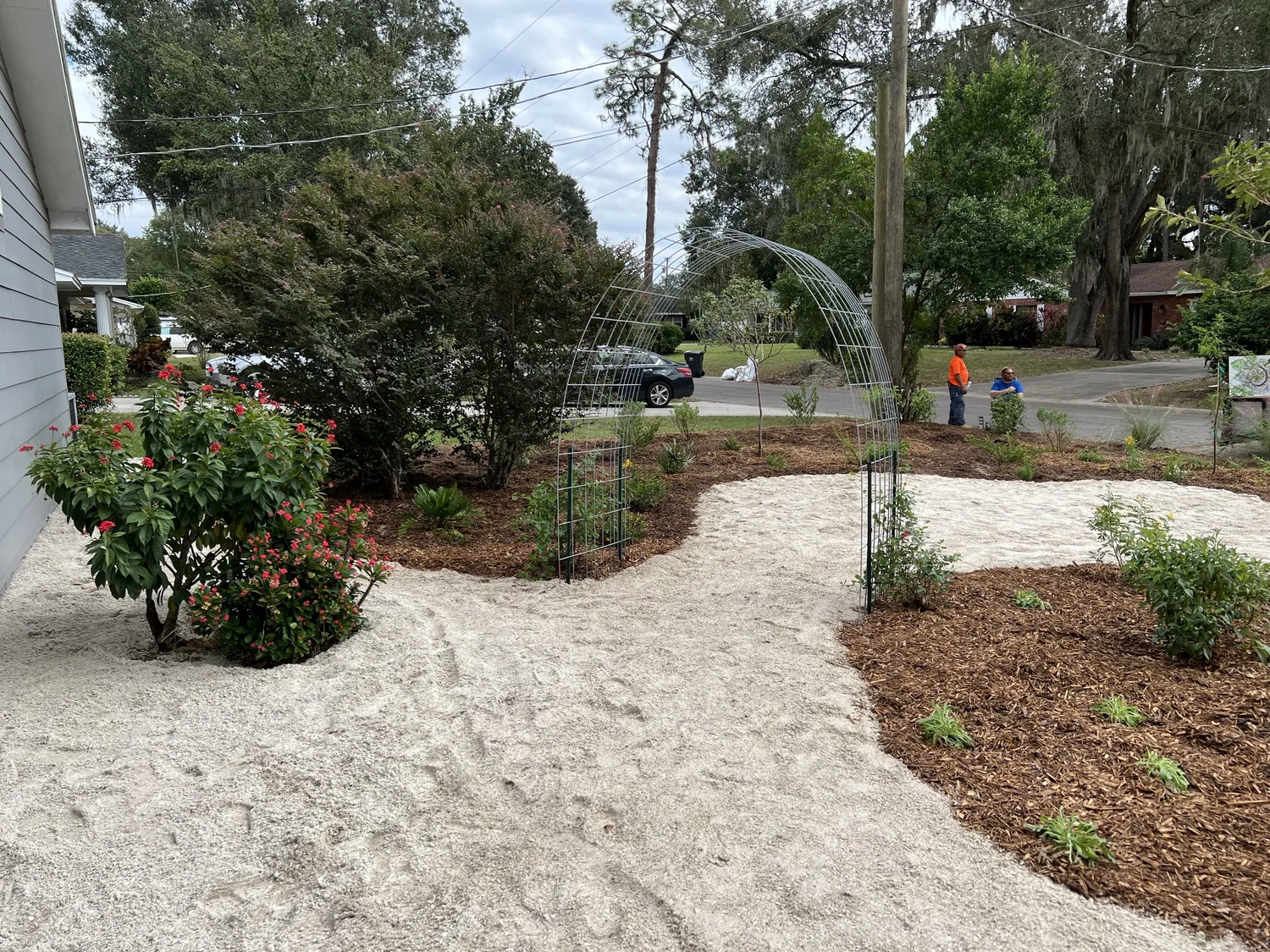 Sarasota Pollinator Garden — Florida Native Plants Nursery & Landscaping