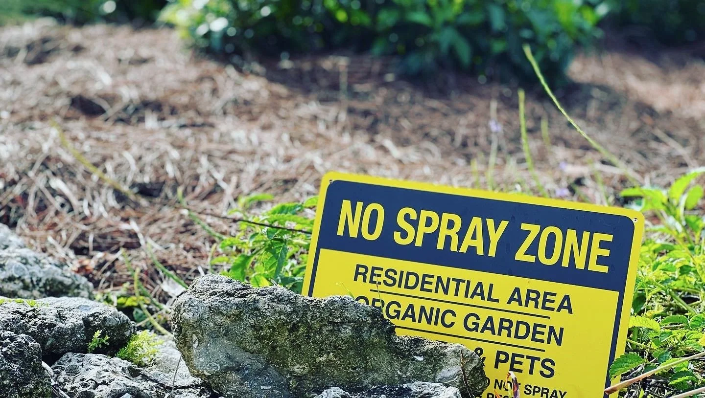 Ten Principles for Sustainable Native Landscaping — Florida Native ...