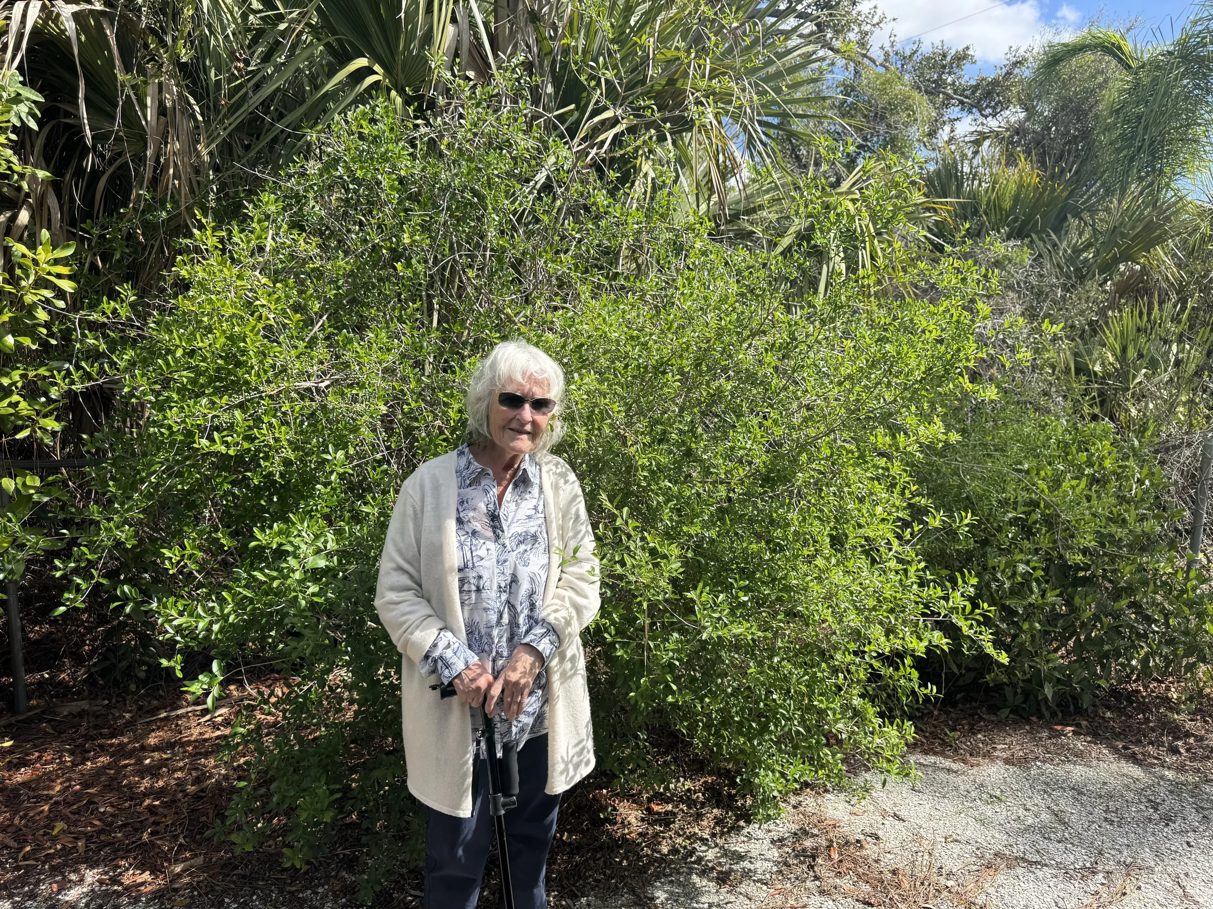 Firebush — Florida Native Plants Nursery & Landscaping