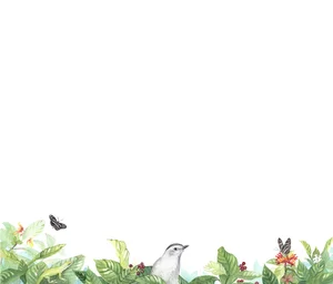 Florida Native Plant Guide for Coastal Landscapes — Florida Native ...