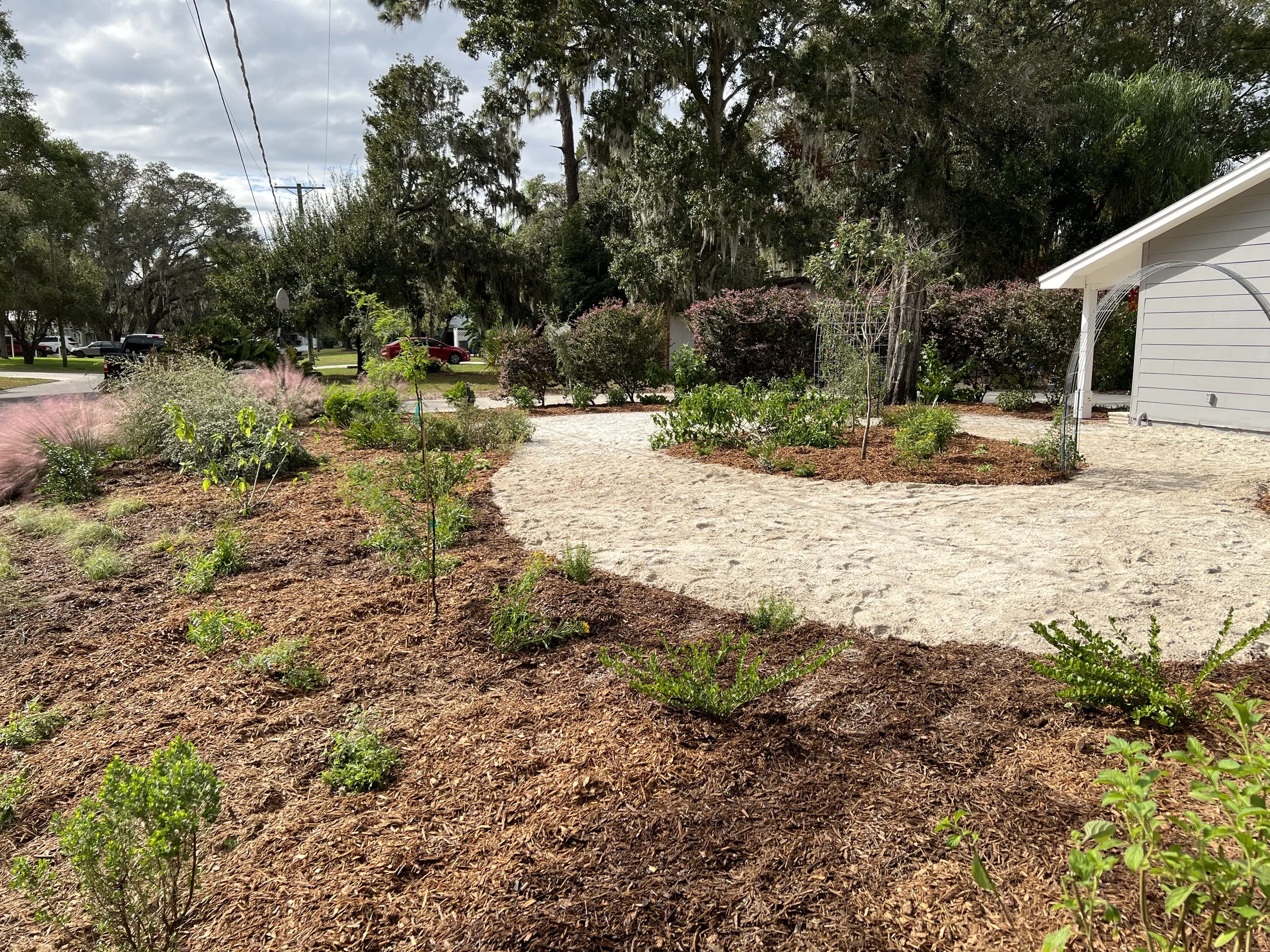 Sarasota Pollinator Garden — Florida Native Plants Nursery & Landscaping