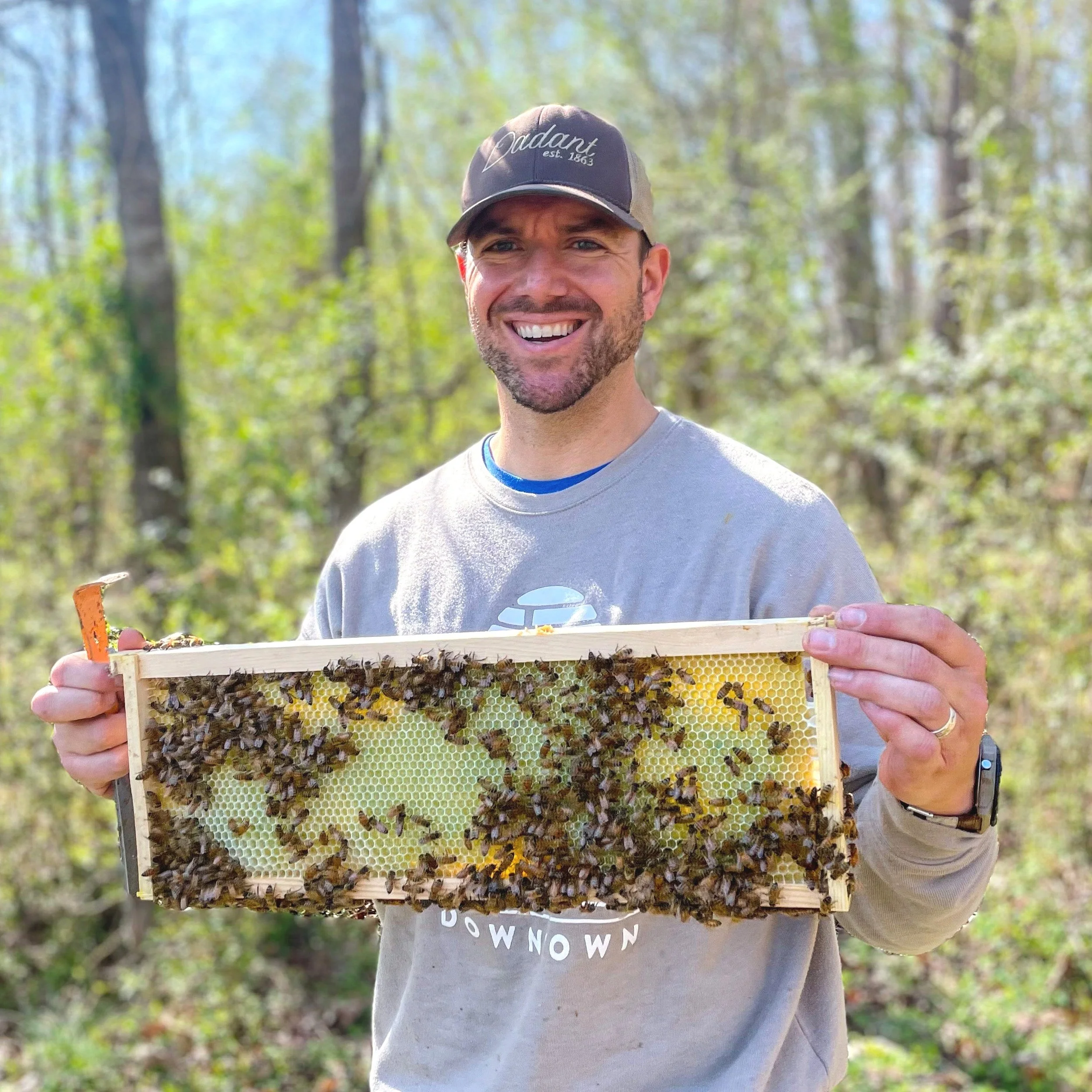 The Bee Team — Bee Downtown