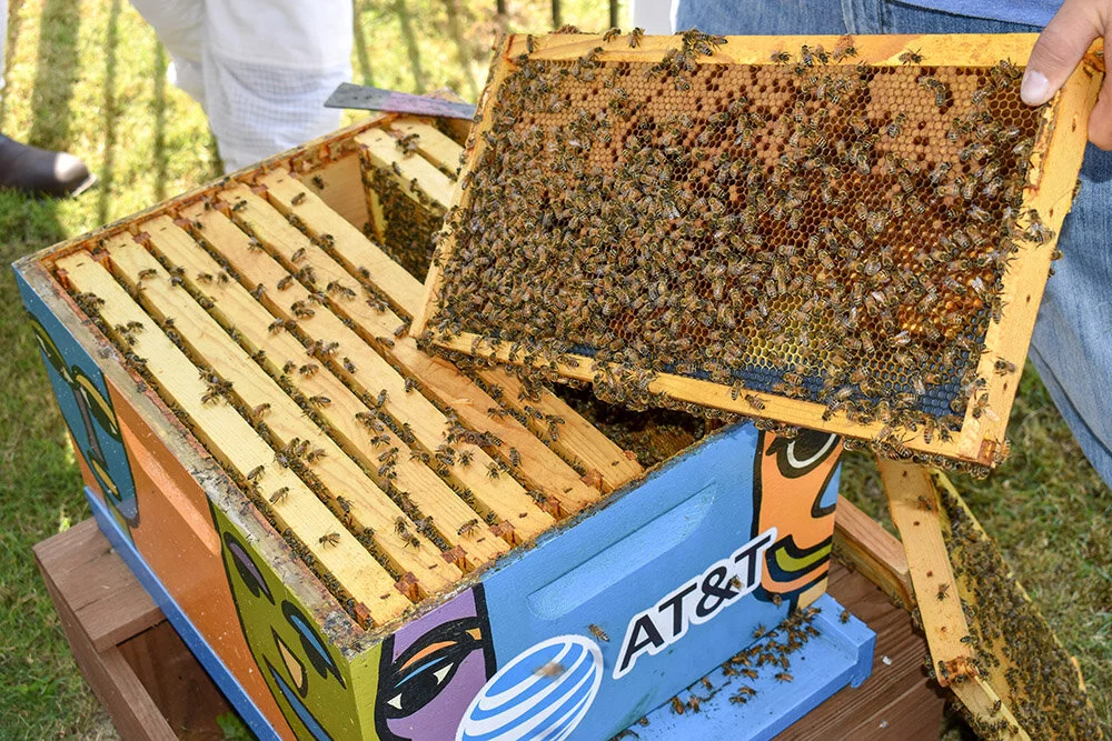 General 2 — Bee Downtown