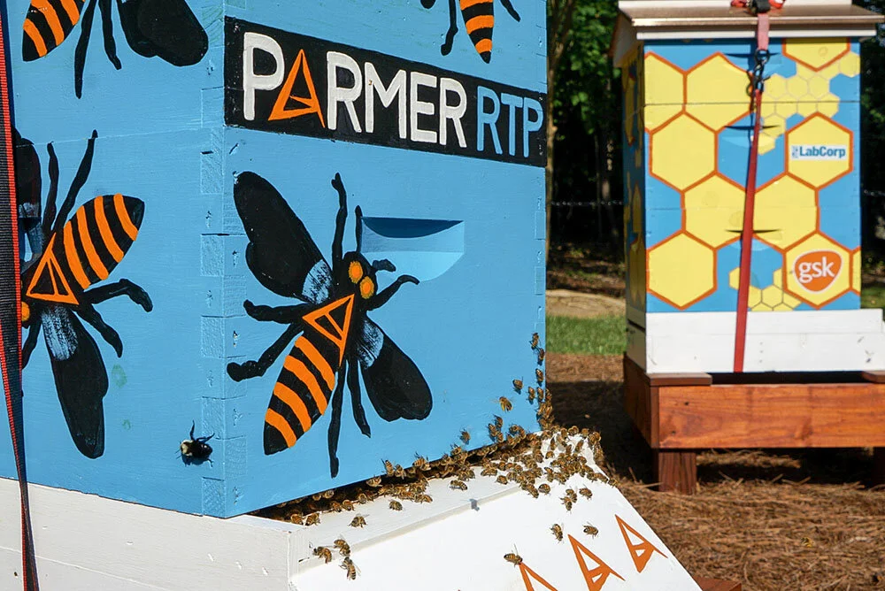 General 2 — Bee Downtown