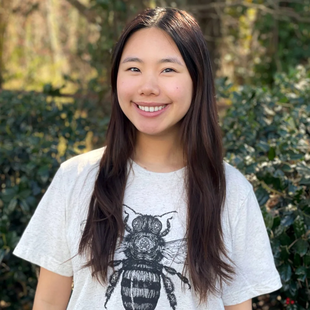 The Bee Team — Bee Downtown