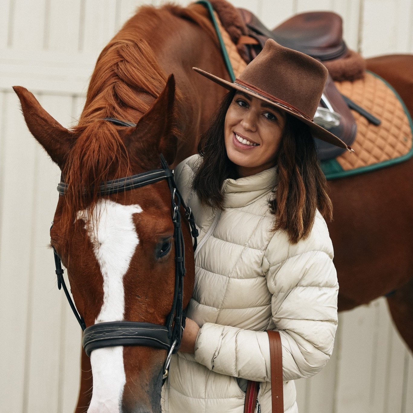 Board of Directors — Mustang Champions