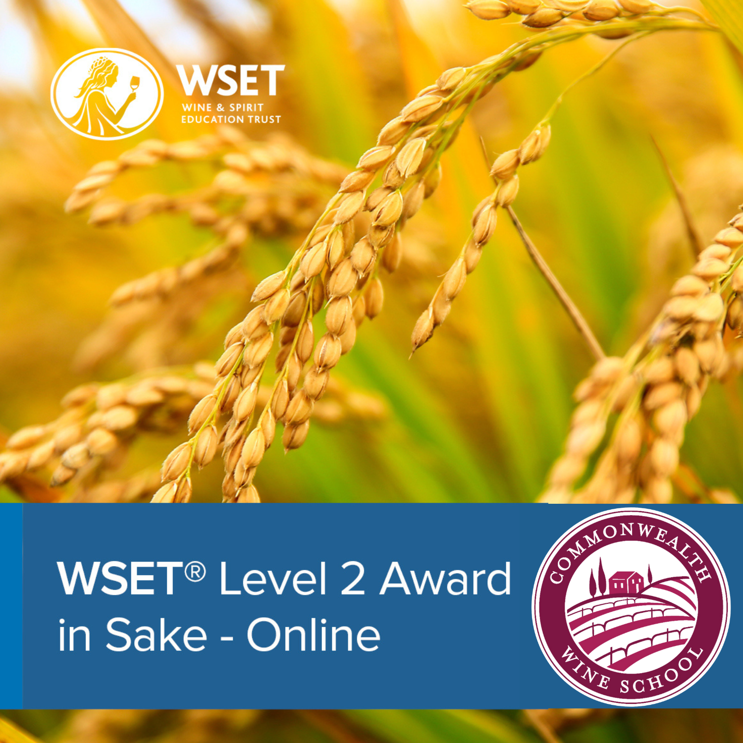 WSET Level 2 Award in Sake Online Self-Study [Aug 11 - Sept 14 ...