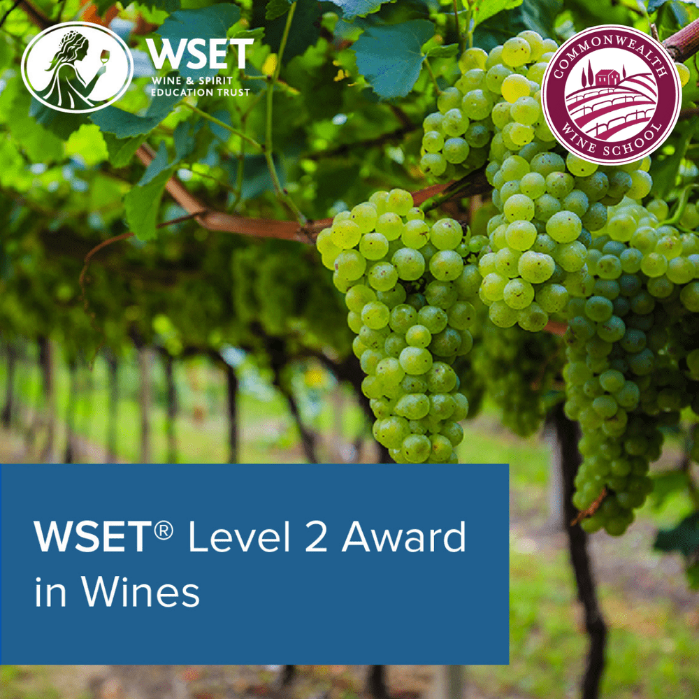 WSET Level 2 Wines — Wine Classes In Person and Online — Commonwealth ...