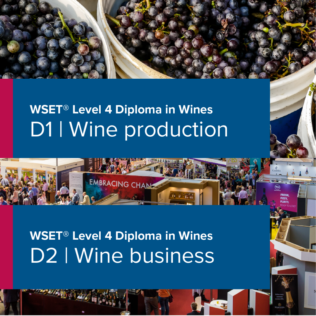 WSET Level 4 Diploma NEW STUDENTS — Wine Classes In Person and Online ...