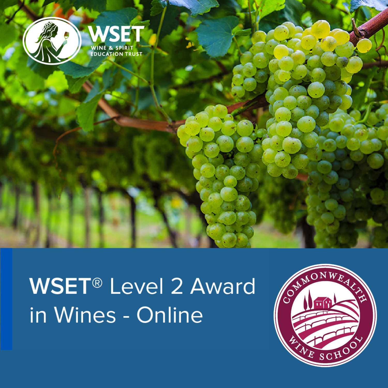 Wine Classes In Person and Online — Commonwealth Wine School - Wine ...