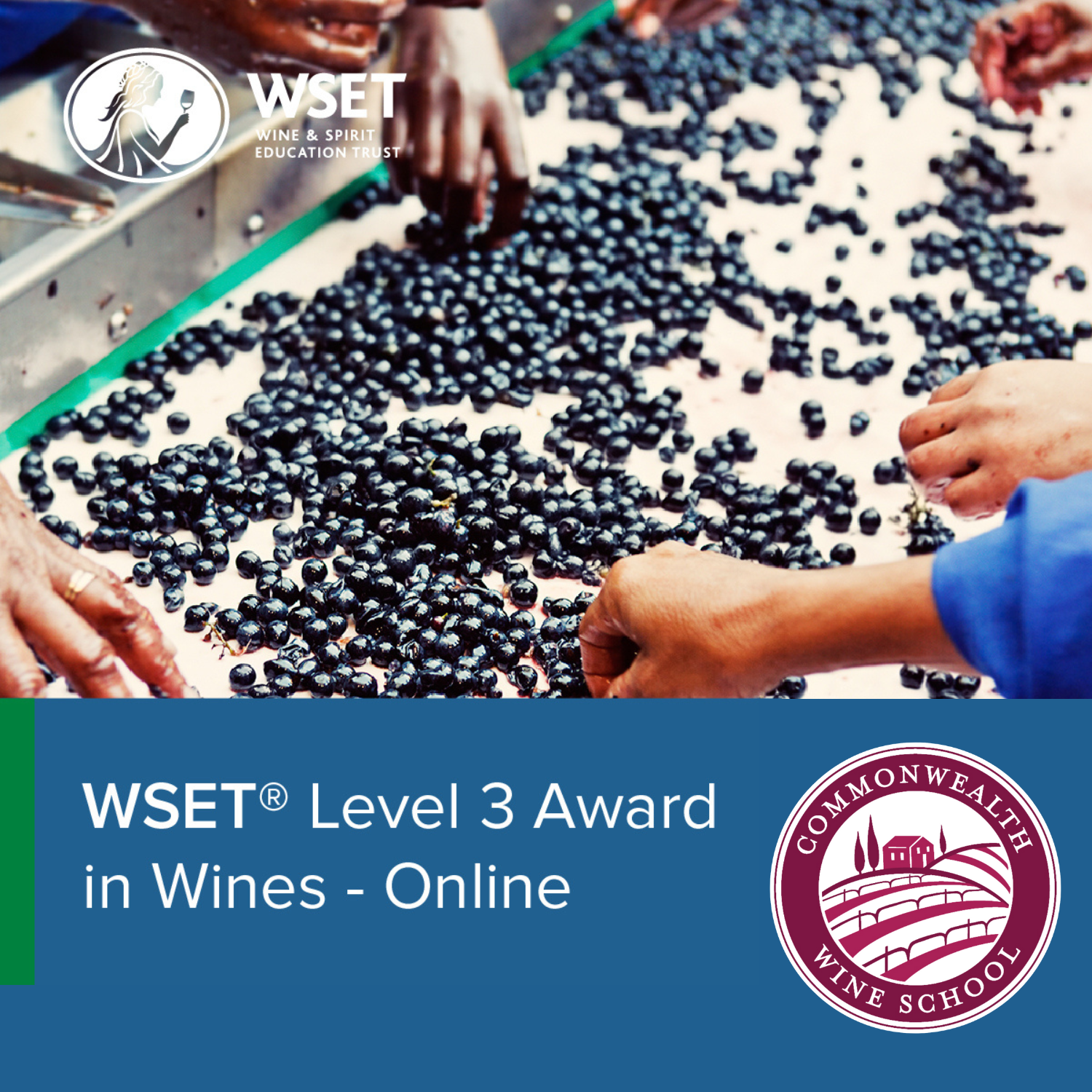 WSET Level 3 Wines — Wine Classes In Person and Online — Commonwealth ...