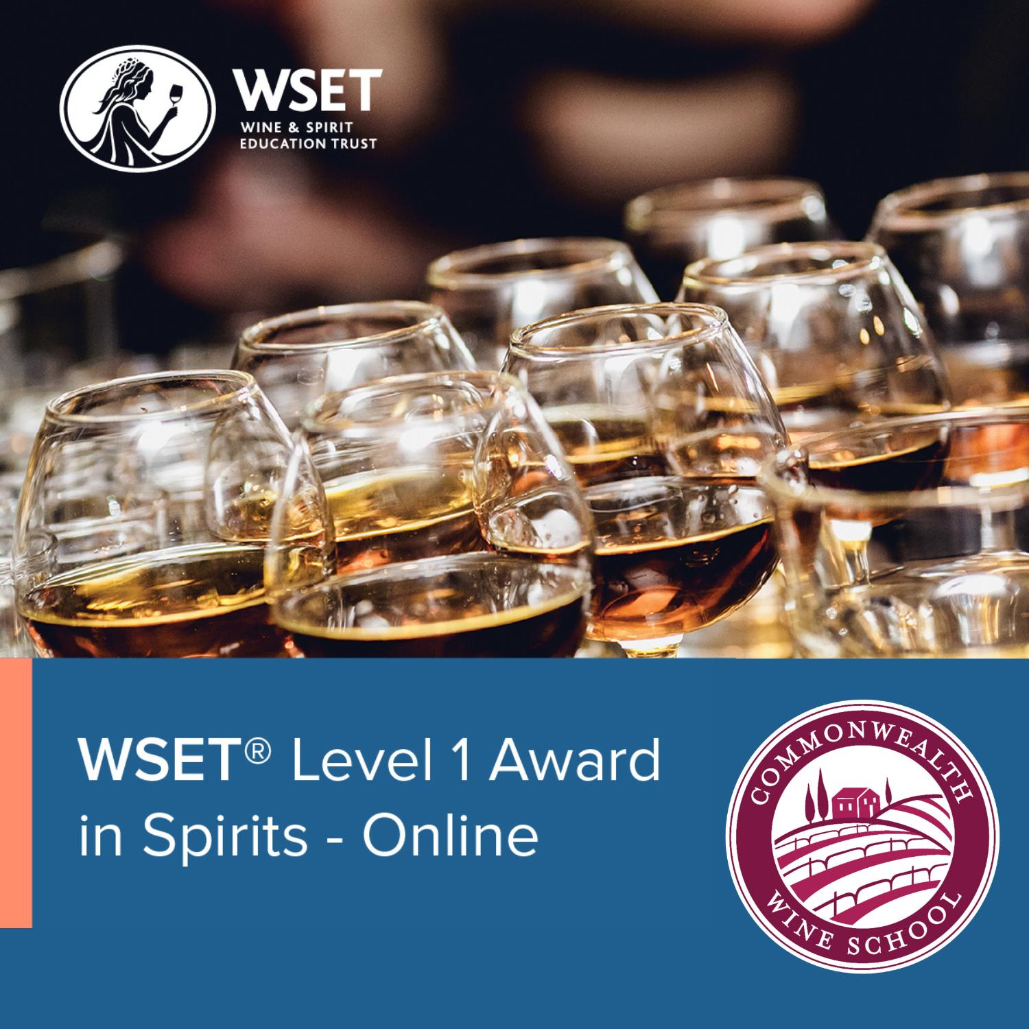 Wine Classes In Person and Online — Commonwealth Wine School - Wine ...