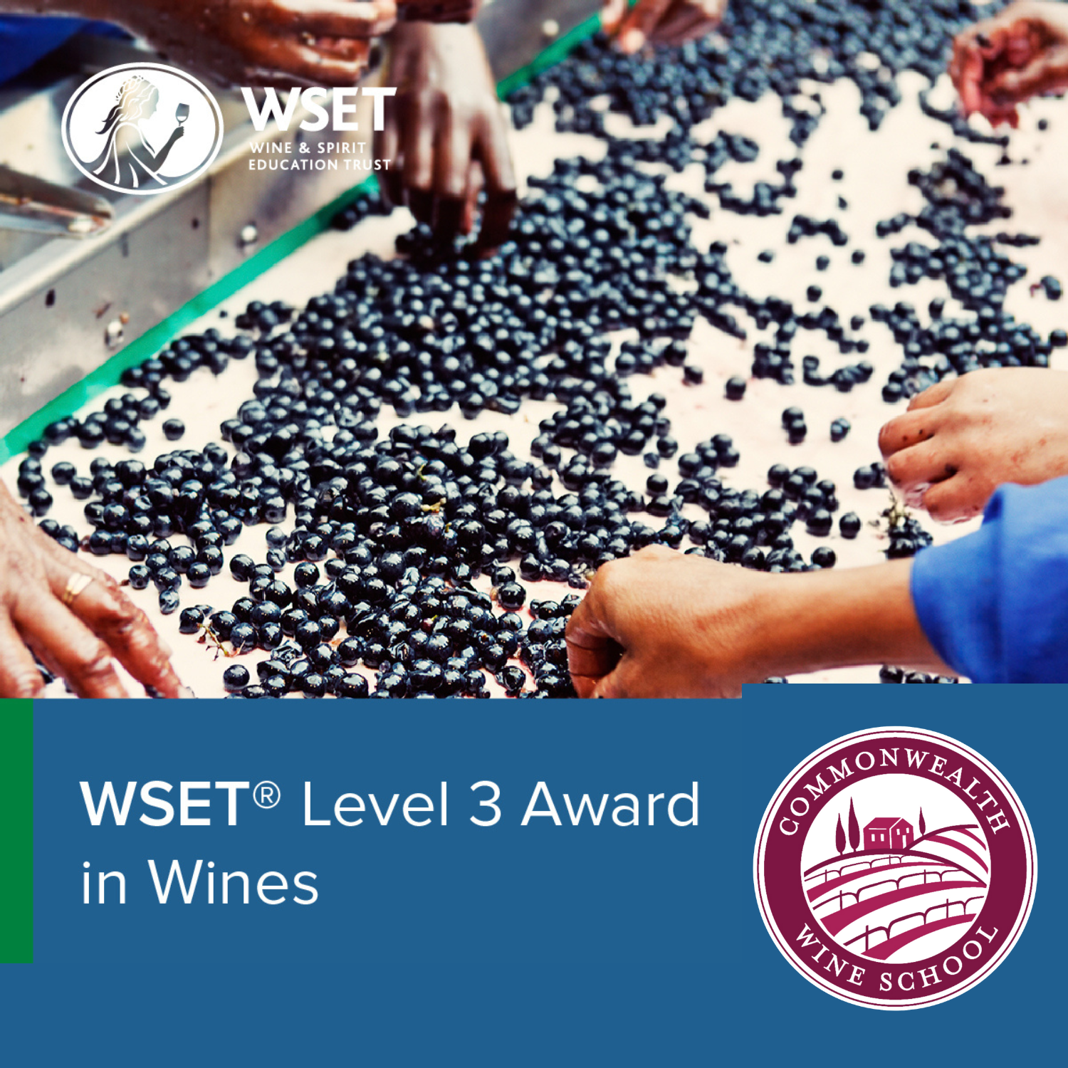 Now Is the Time to Start WSET Level 3 Wine! — Commonwealth Wine School ...
