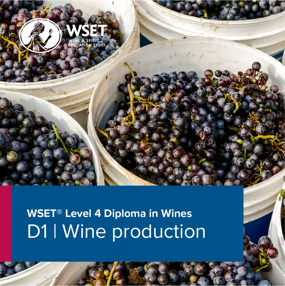 WSET Level 4 Diploma — Commonwealth Wine School - Wine Classes - WSET ...