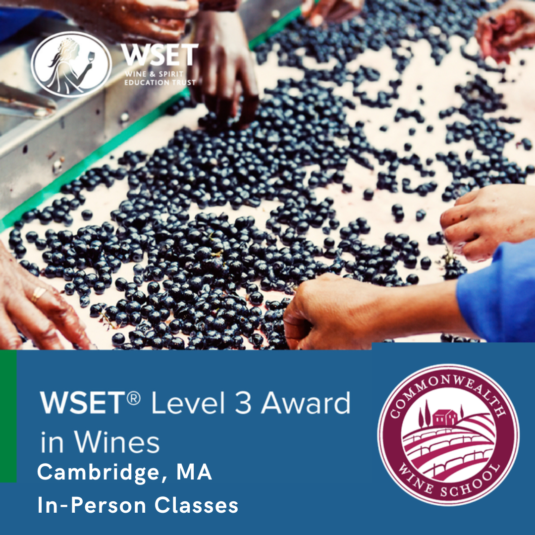 WSET Level 3 Wines — Wine Classes In Person and Online — Commonwealth ...