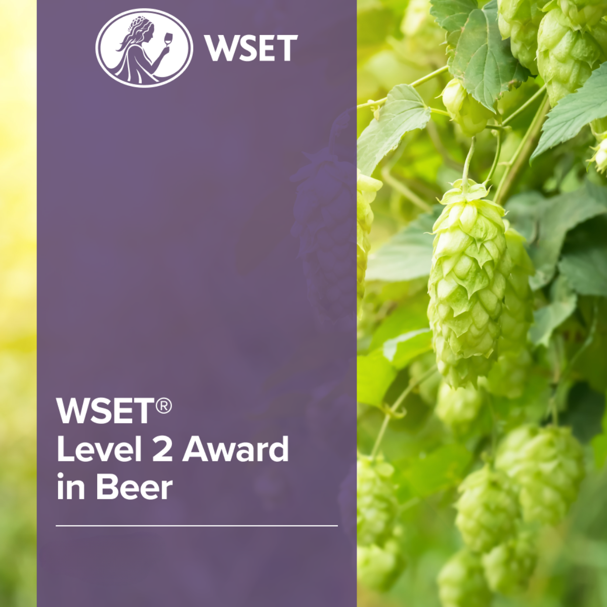 Wine and Spirits Education Trust (WSET) Courses — Commonwealth Wine ...