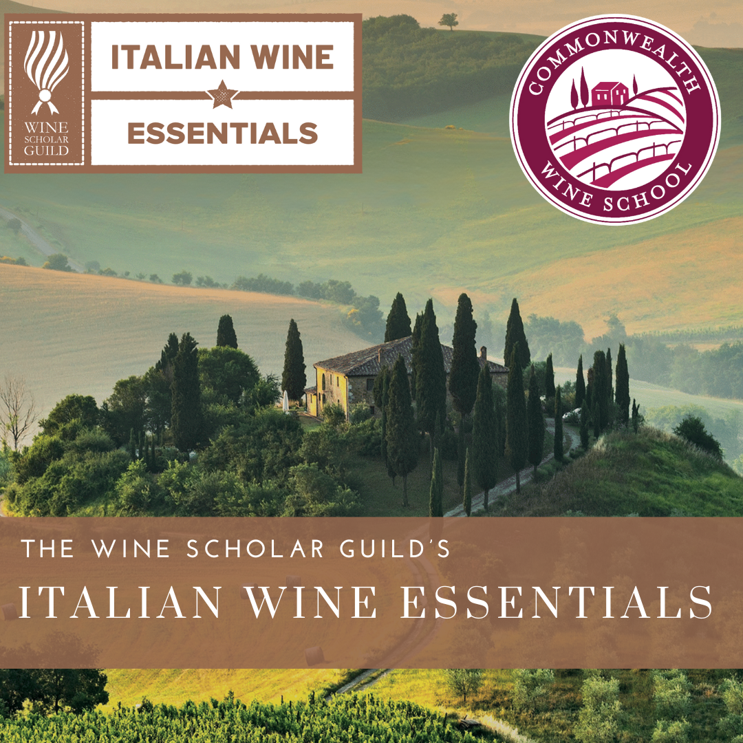 Italian Wine Essentials | Explore Italy's Wines—Enroll Now ...
