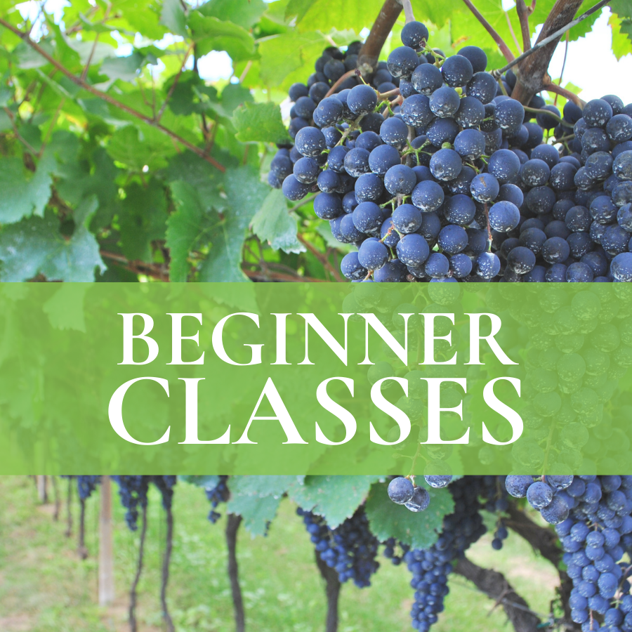 Commonwealth Wine School - Wine Classes - WSET - Private and Corporate ...