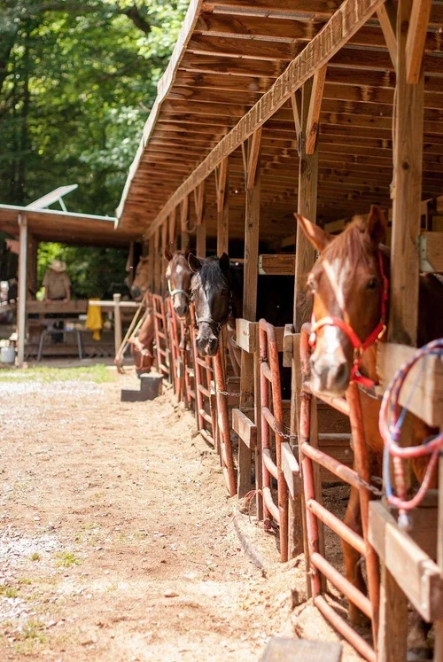 Pisgah Forest Stables