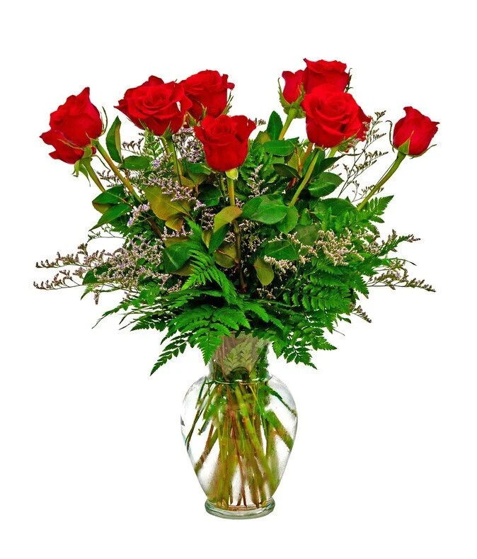 General 1 — Greenwald's Greenhouse