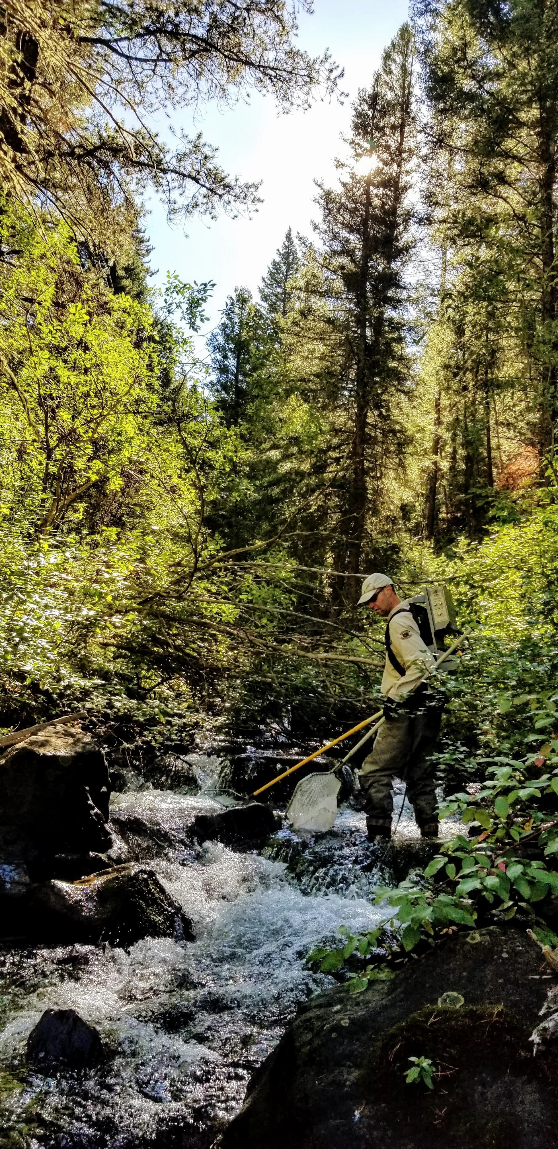 Volunteering with Wildlife Agencies — 2% for Conservation