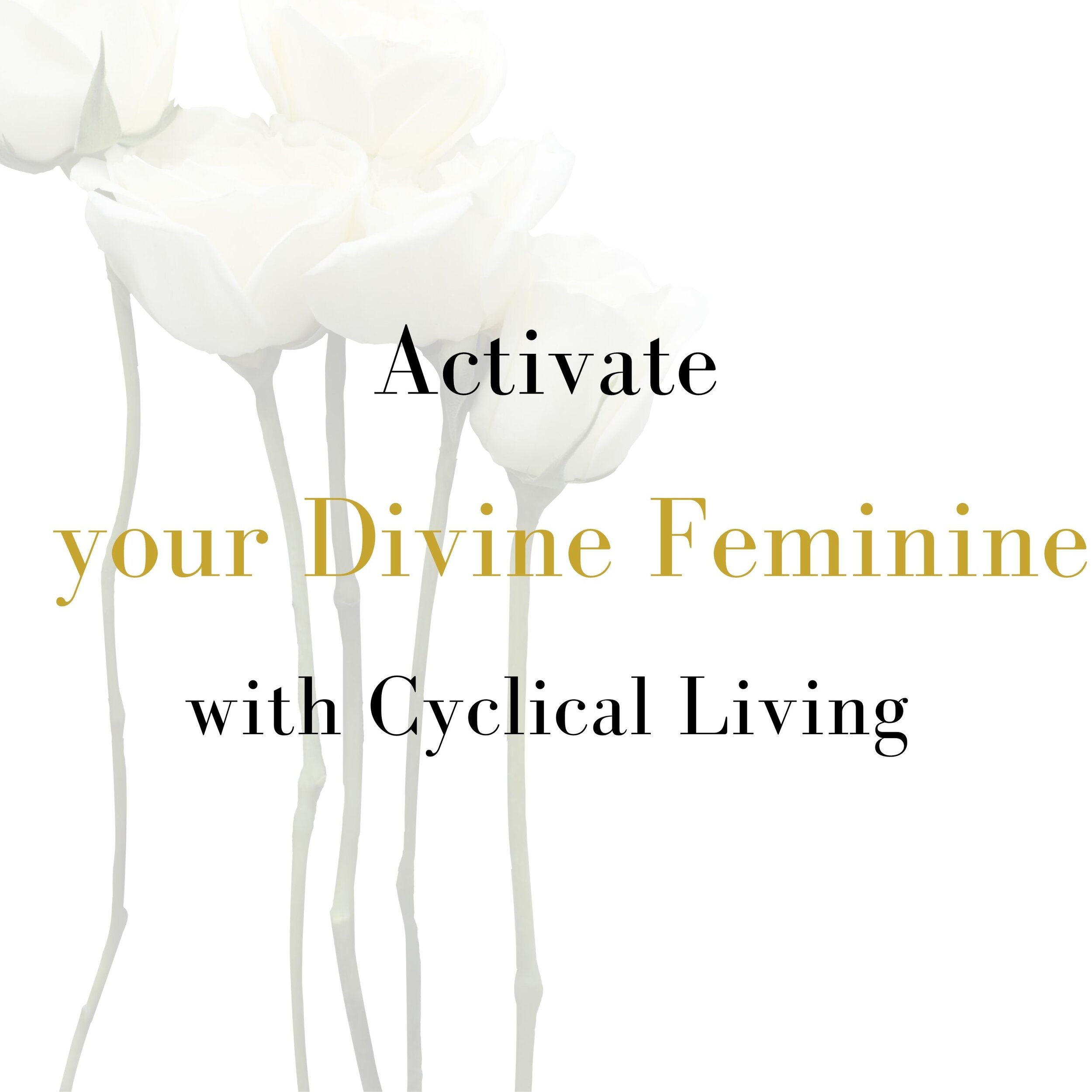 Mu Rose Temple 🌹 Sacred Feminine Wisdom