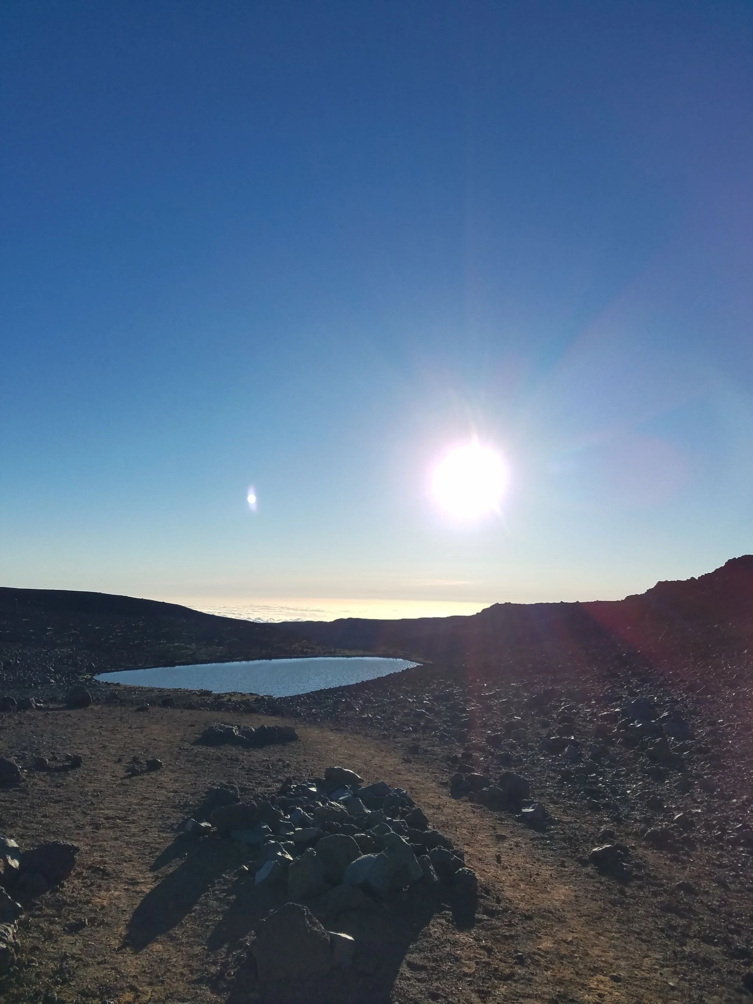 Celeste Gluz 🌹 Sacred Feminine Wisdom