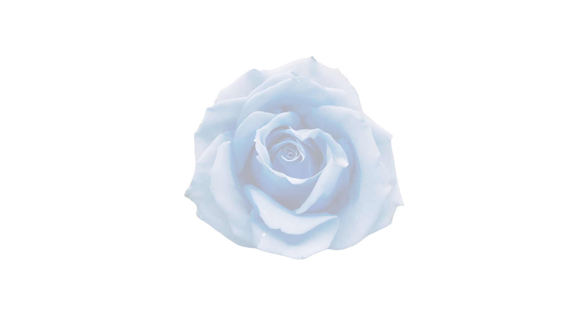 Celeste Gluz 🌹 Sacred Feminine Wisdom