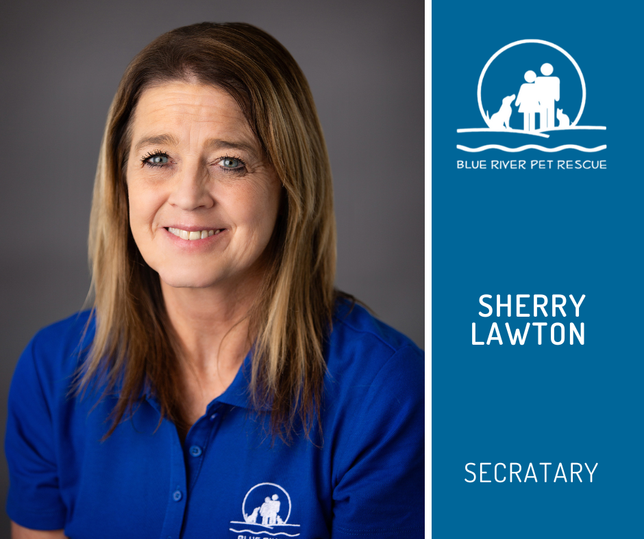 Our Team — Blue River Pet Rescue