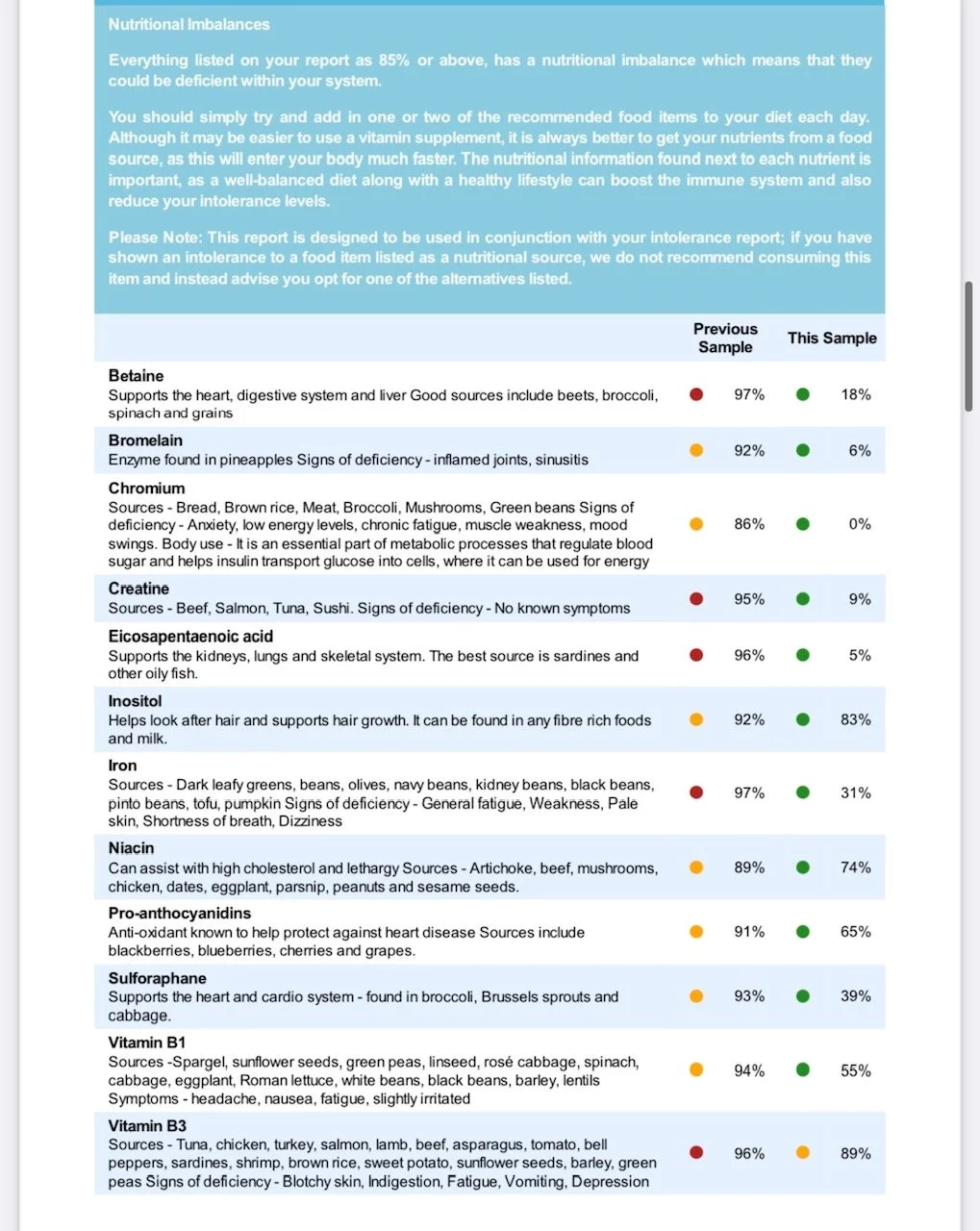 Body Blueprint - Gut Health & Healing — Wellmade Restorative