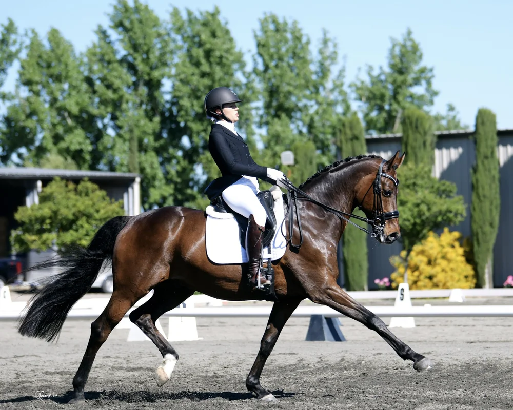 Alex Greer Dressage