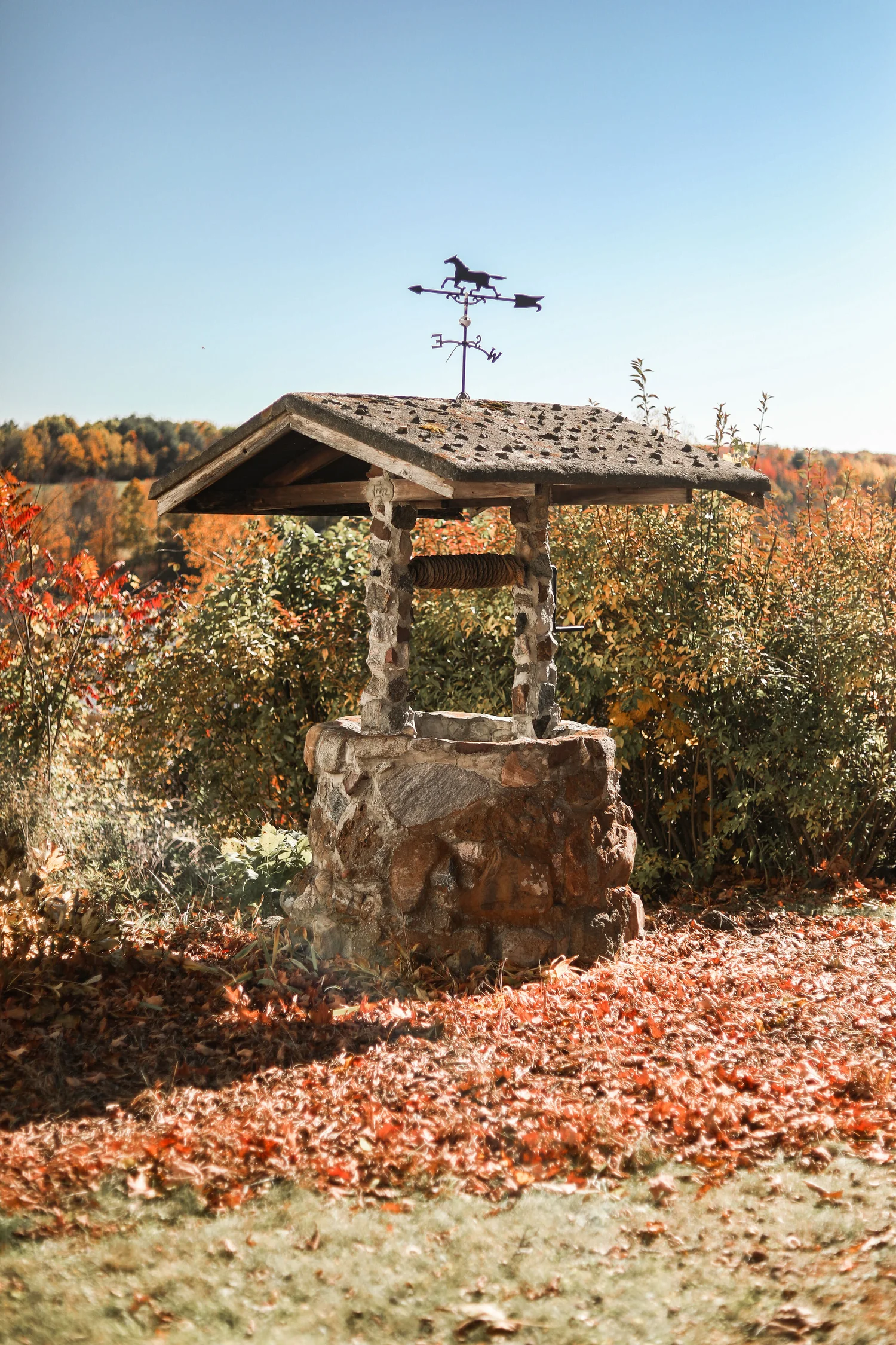 Bluebird Farm
