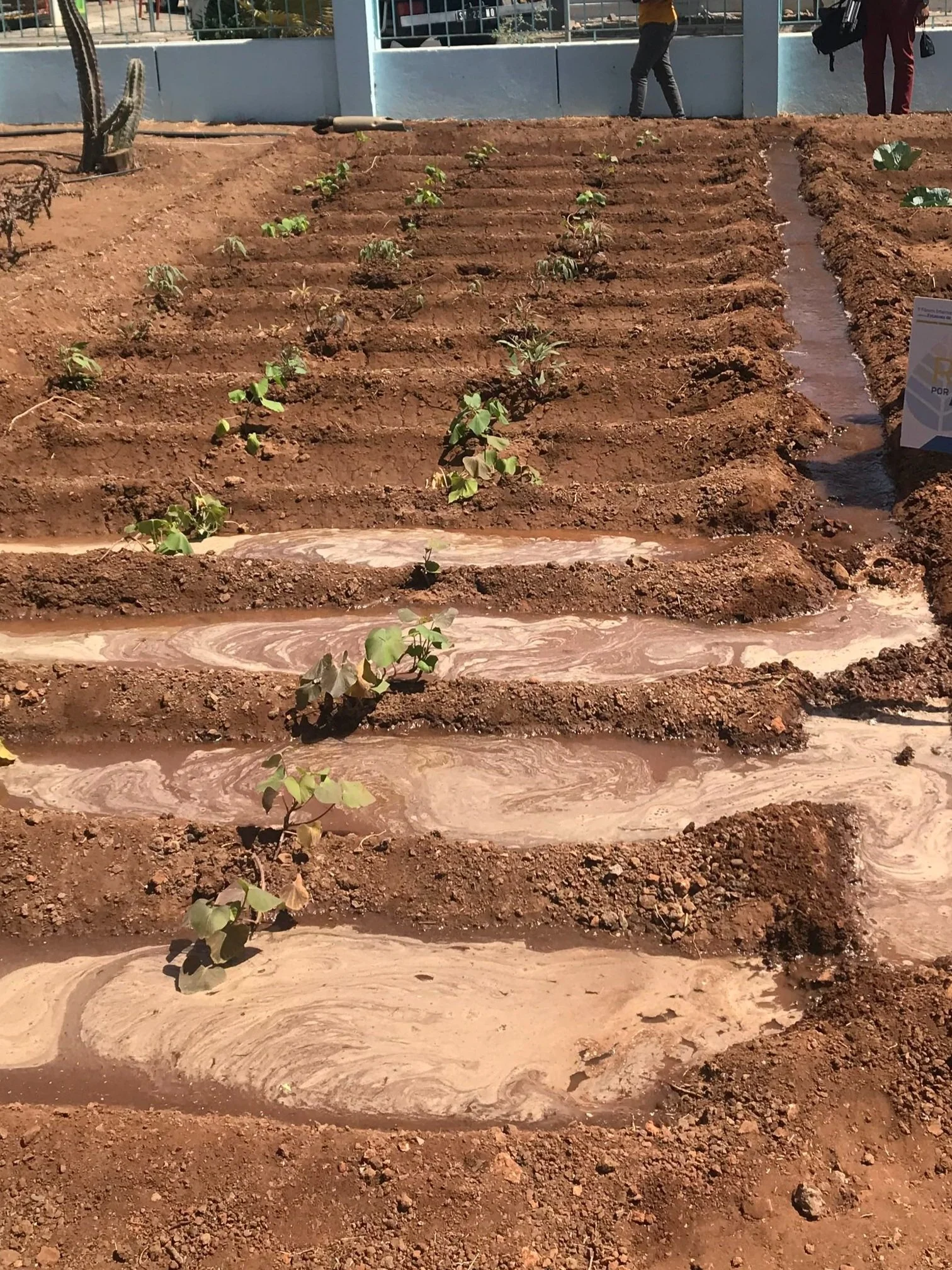 Drip Irrigation — MIT GEAR Lab