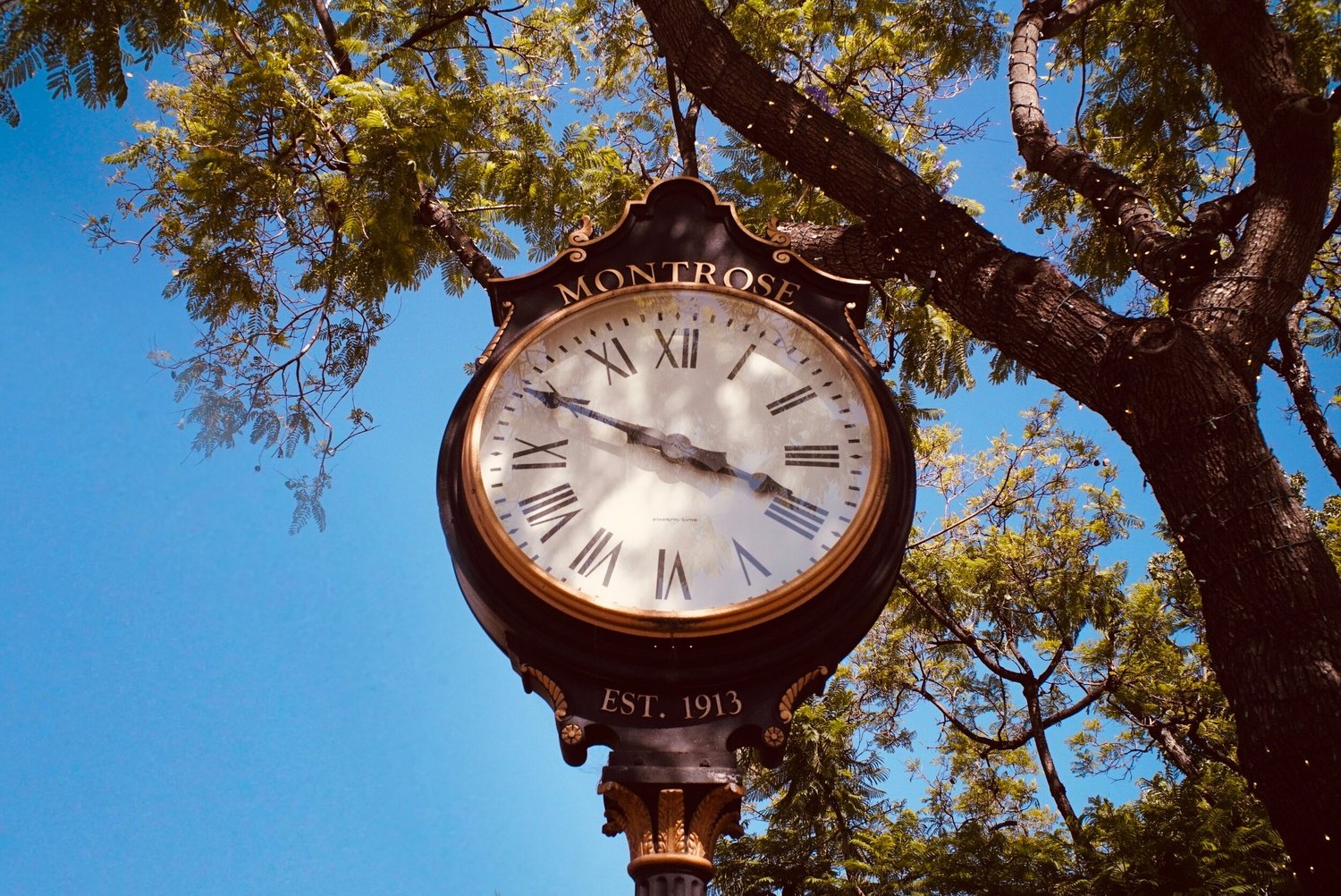 Prodigy Insurance Inc.