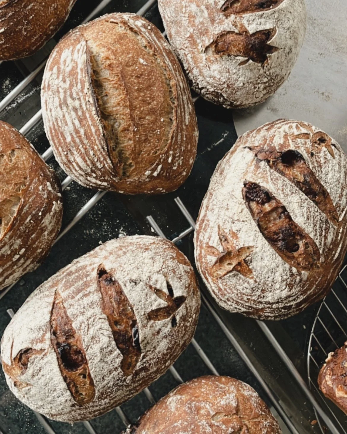 breakfast project — EMILY ROVER