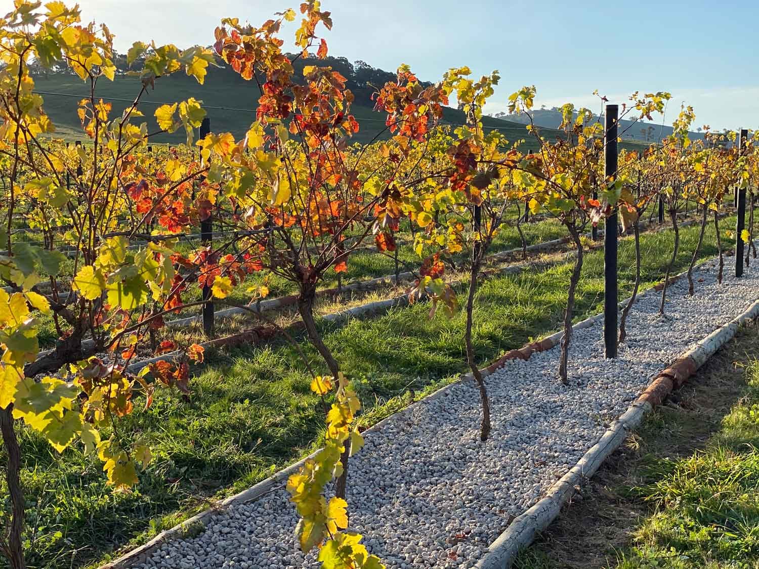 Our Story — Silver Spoon Estate