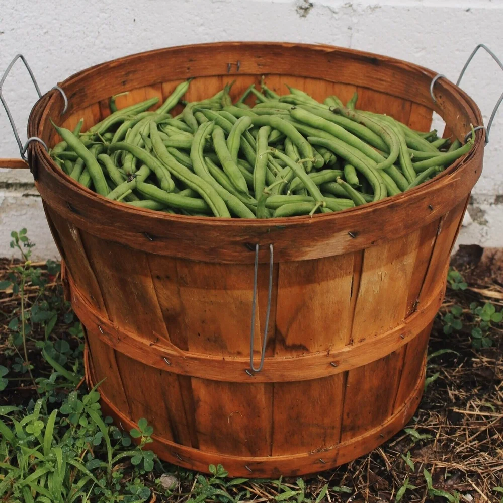 Our Story — Hancock Family Farm