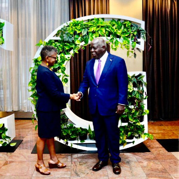 The Bahamas Sustainable Investment Program (BSIP) — Resilience Capital Ventures LLC