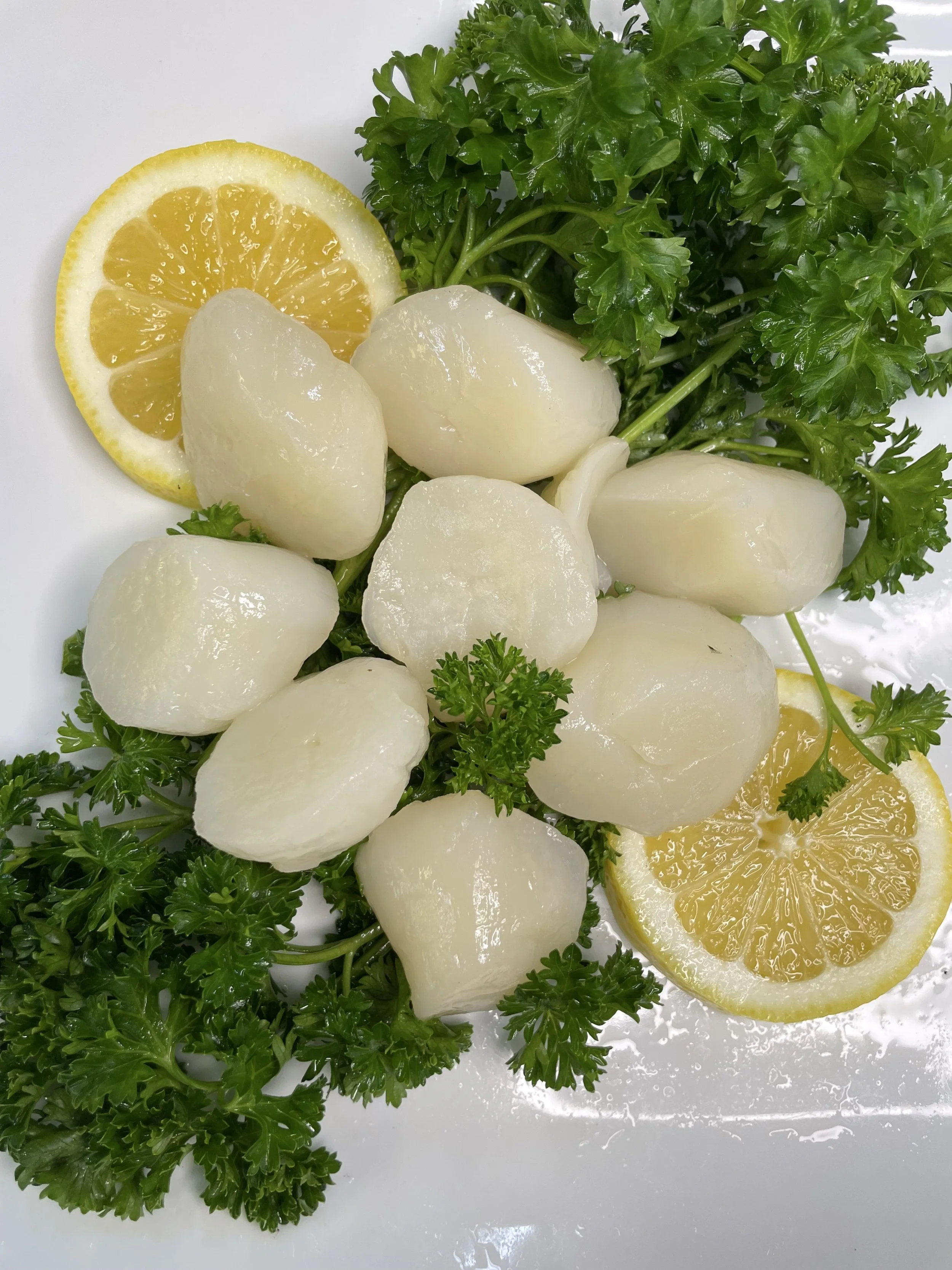 Sea Scallops — Washington Crab