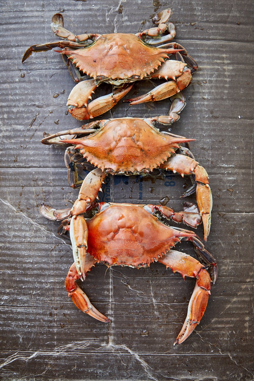 Washington Crab Online Shop — Washington Crab