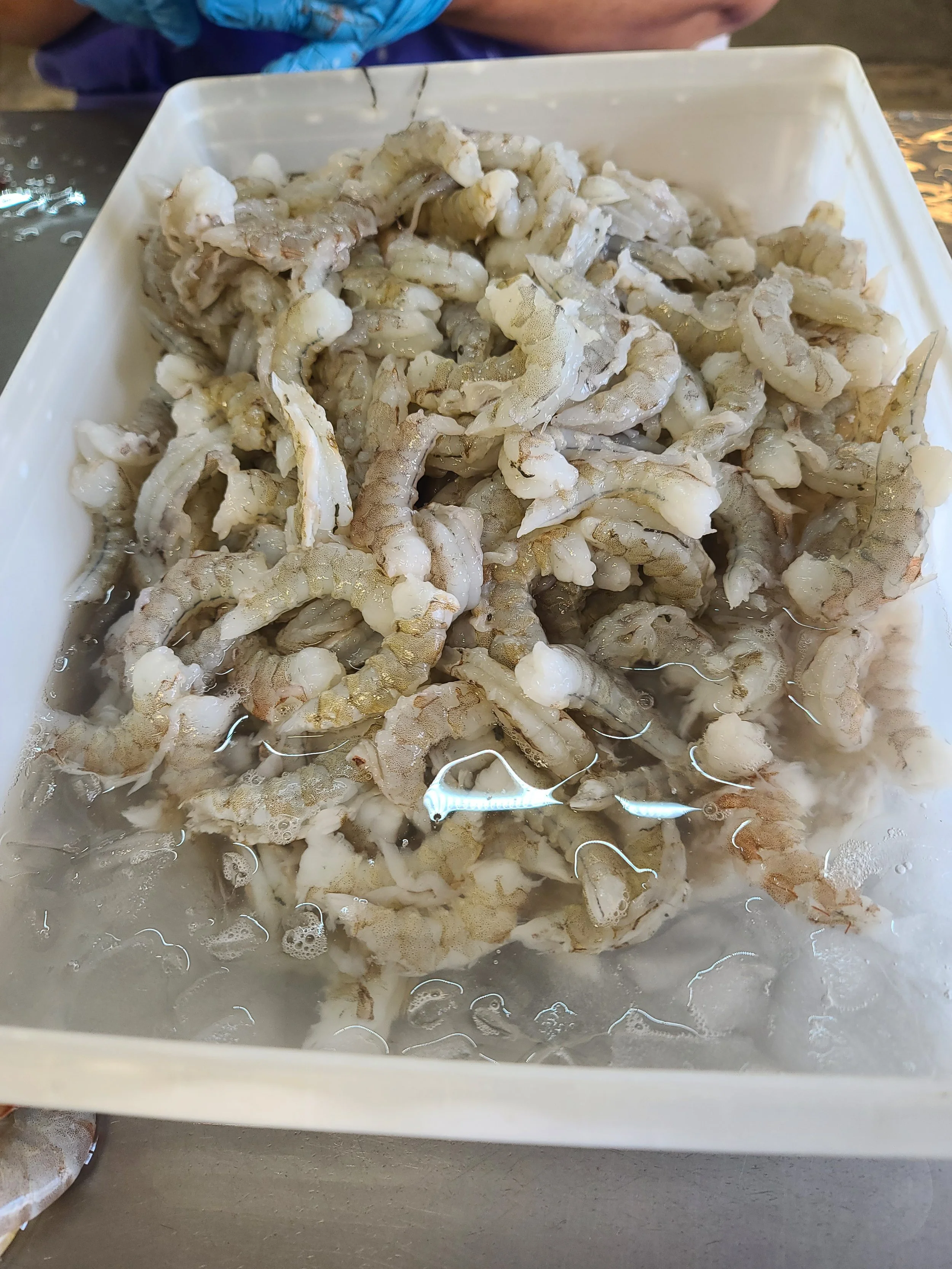 Washington Crab Online Shop — Washington Crab
