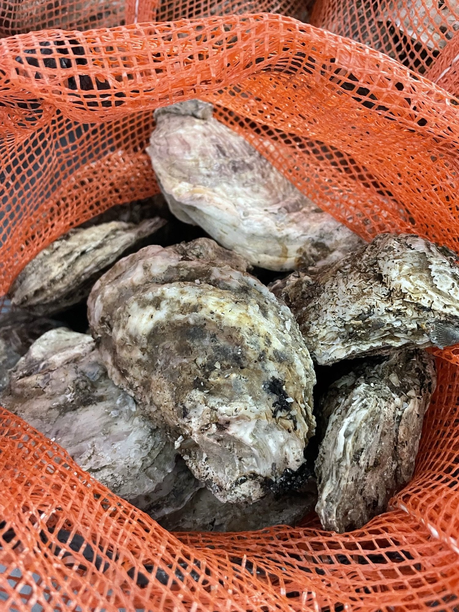 Washington Crab Online Shop — Washington Crab