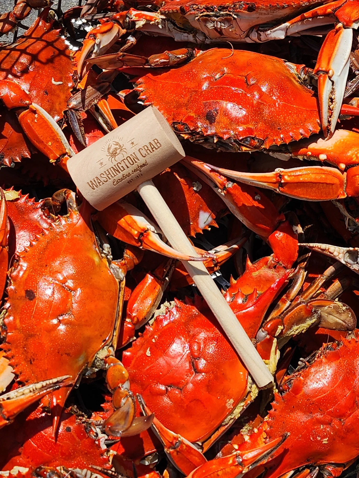Shop — Washington Crab