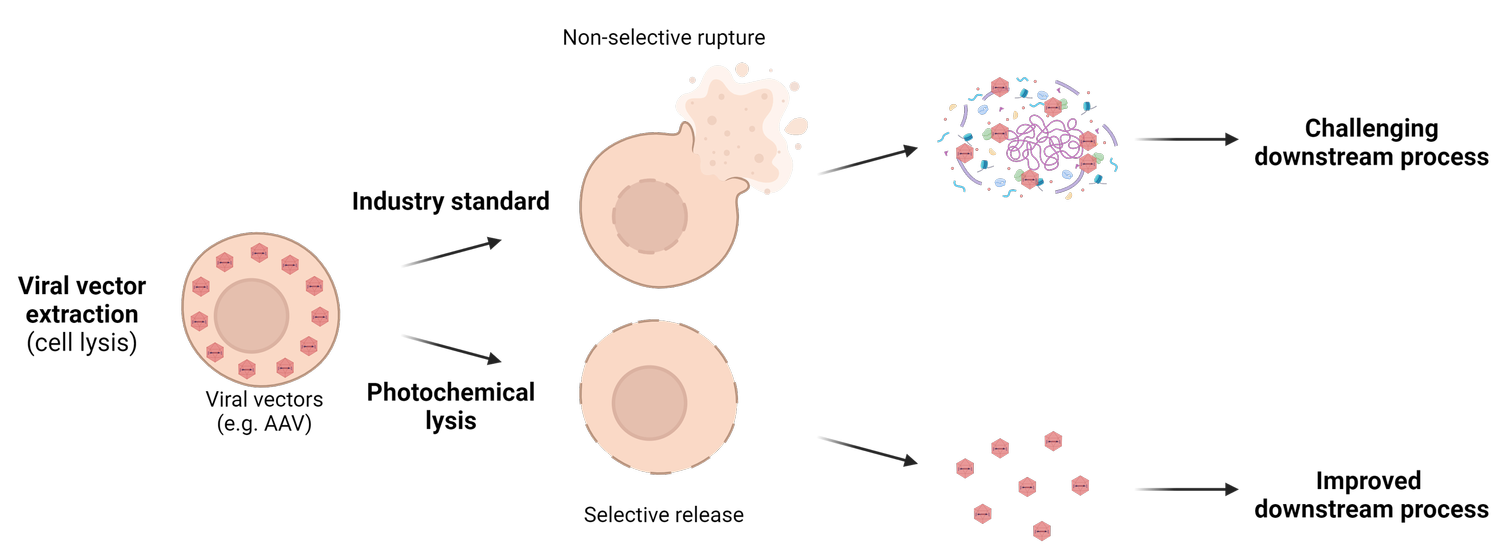 TECHNOLOGY — PCI Biotech