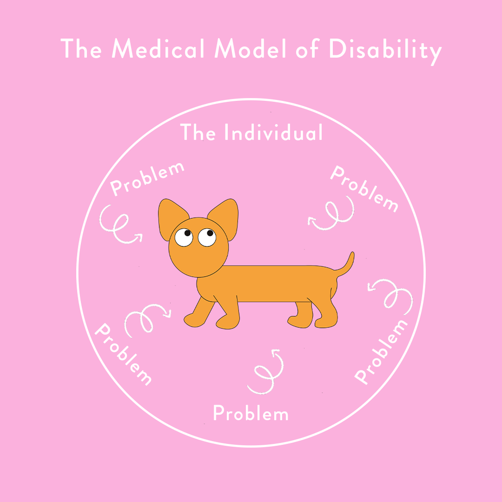 The social model of disability – Choices and Rights Disability Coalition